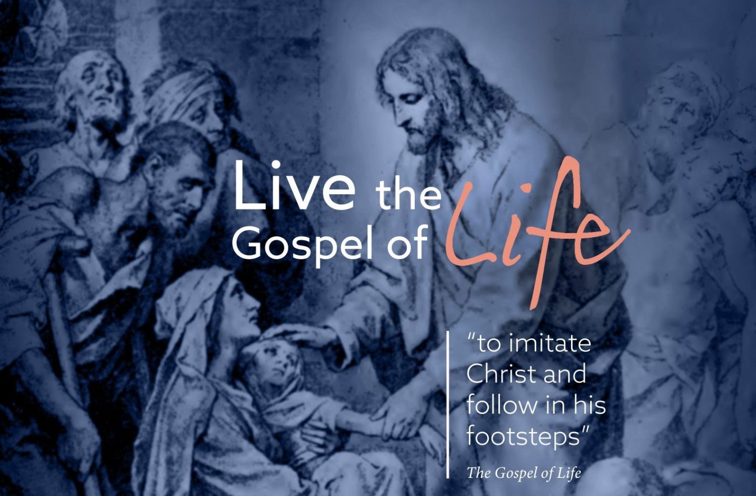 2020 Respect Life Poster - Diocese of Venice