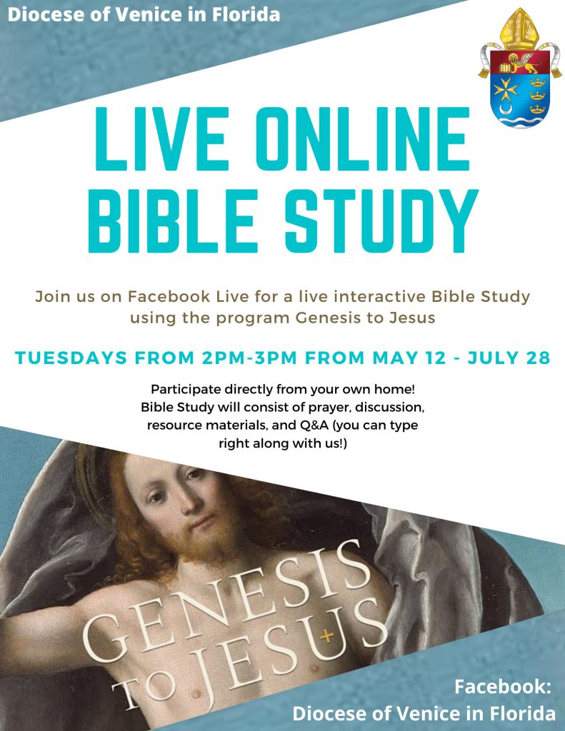 Online Bible Study series begins - Diocese of Venice