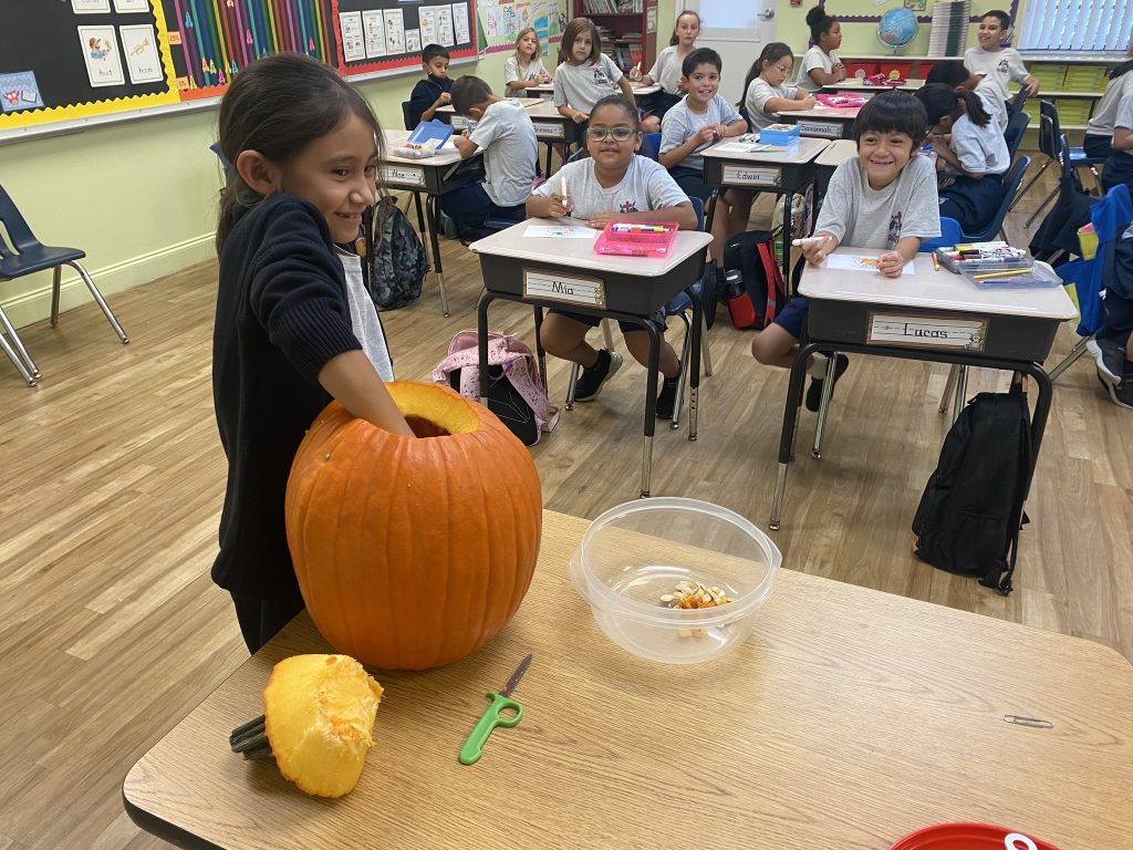 Celebrating the saints and Halloween - Diocese of Venice