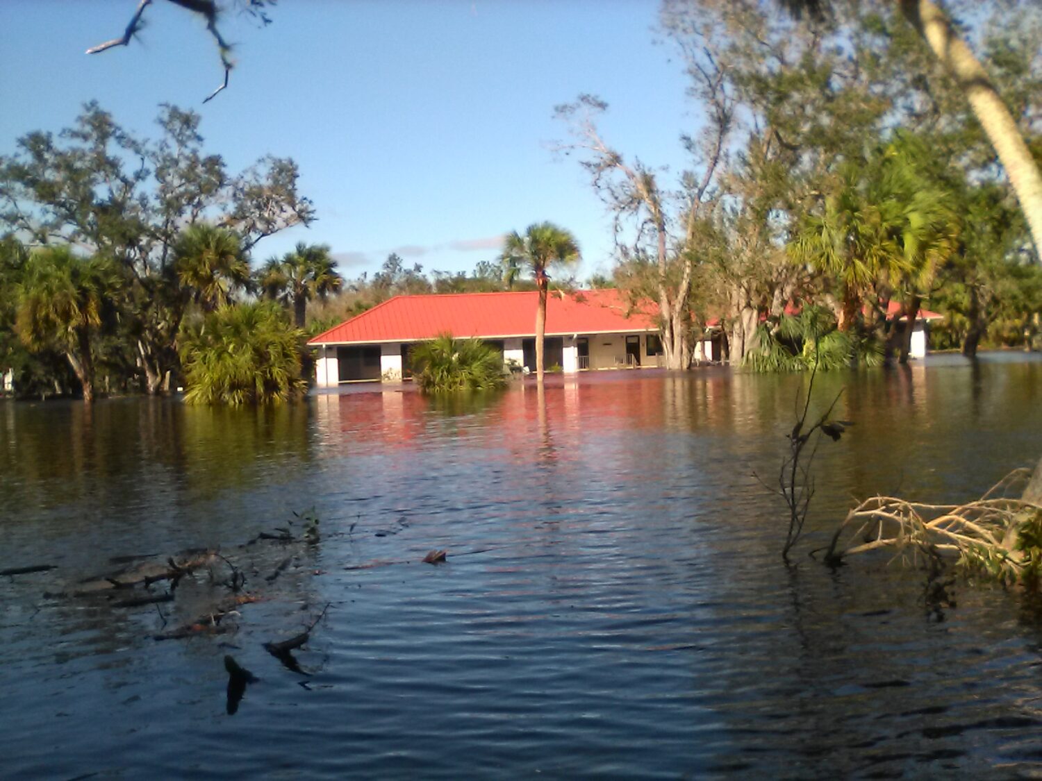 OLPH reopens with celebration - Diocese of Venice