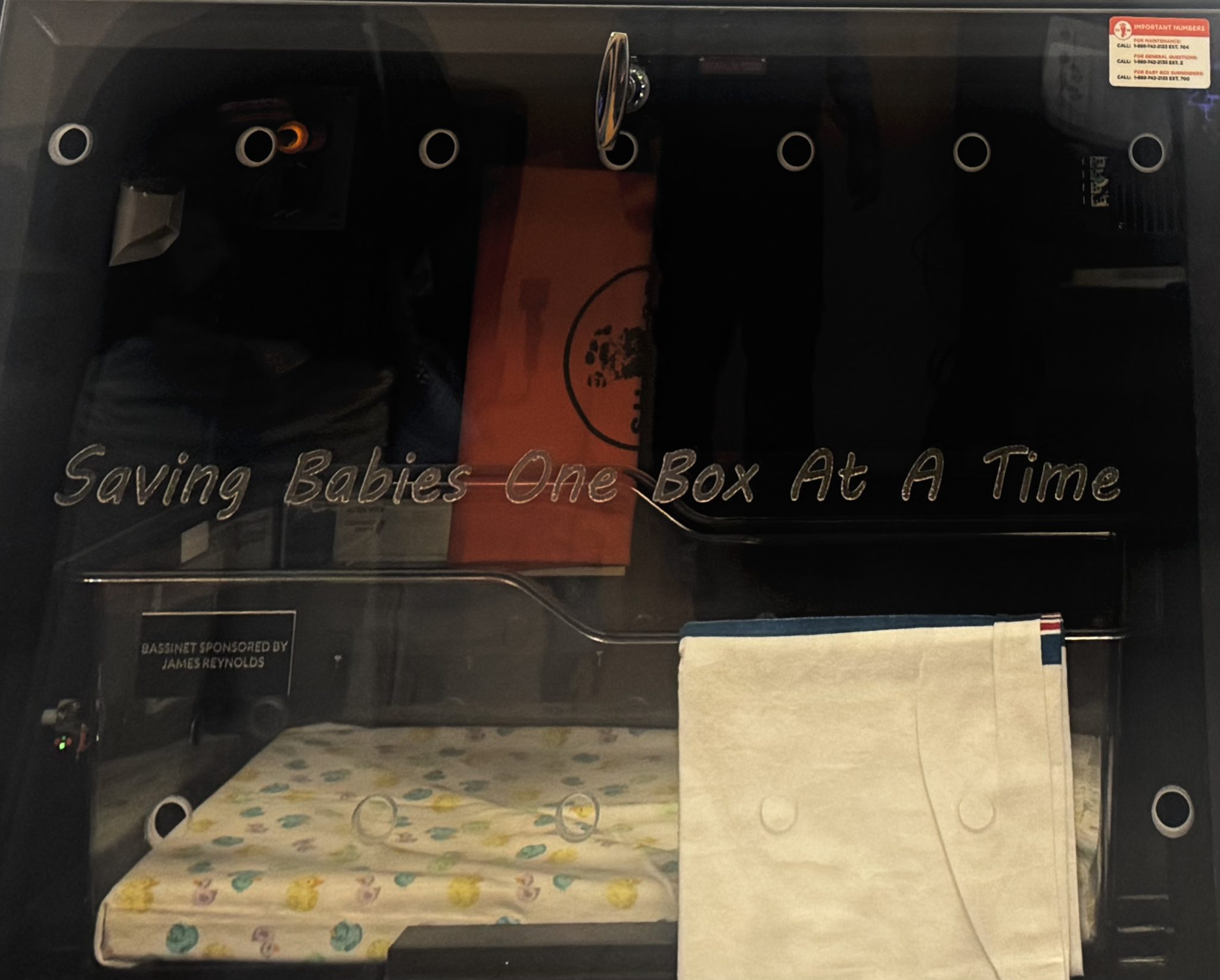 Diocese offers examples of pro-life promotion - Diocese of Venice