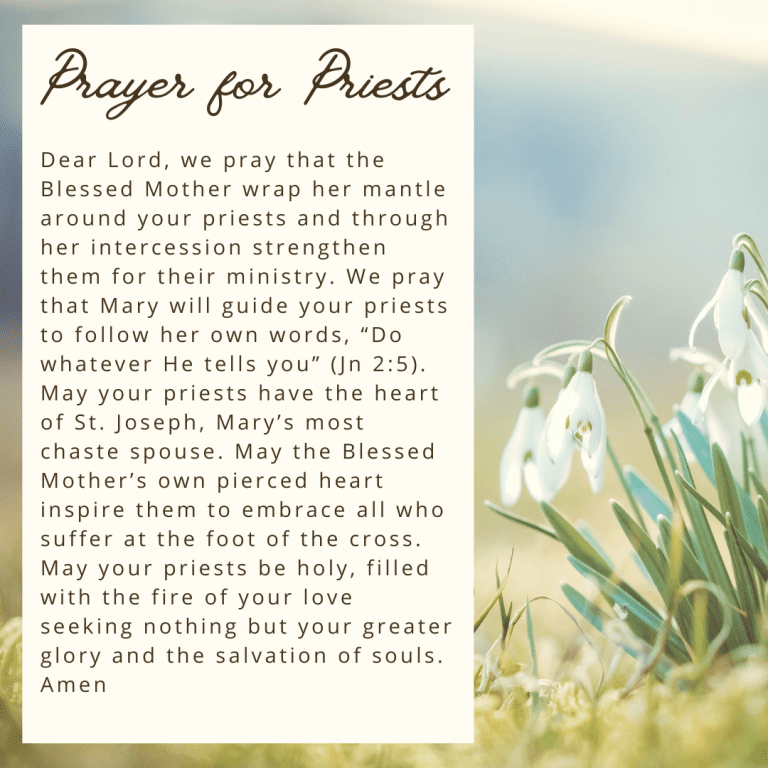 Prayer for Priests - Diocese of Venice