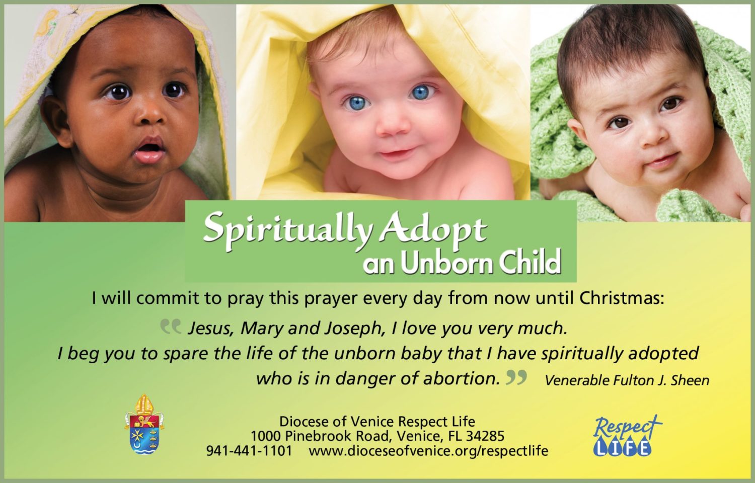 Spiritual Adoption Program - Diocese of Venice