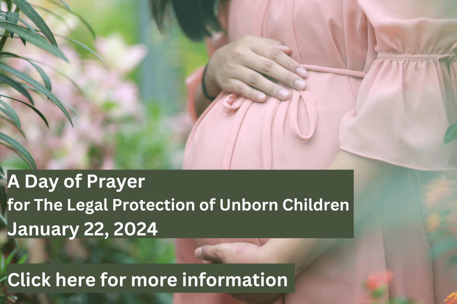 WEBSITE Day of Prayer for the Unborn - Diocese of Venice