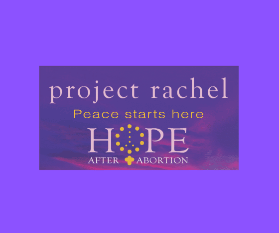 project rachel - Diocese of Venice