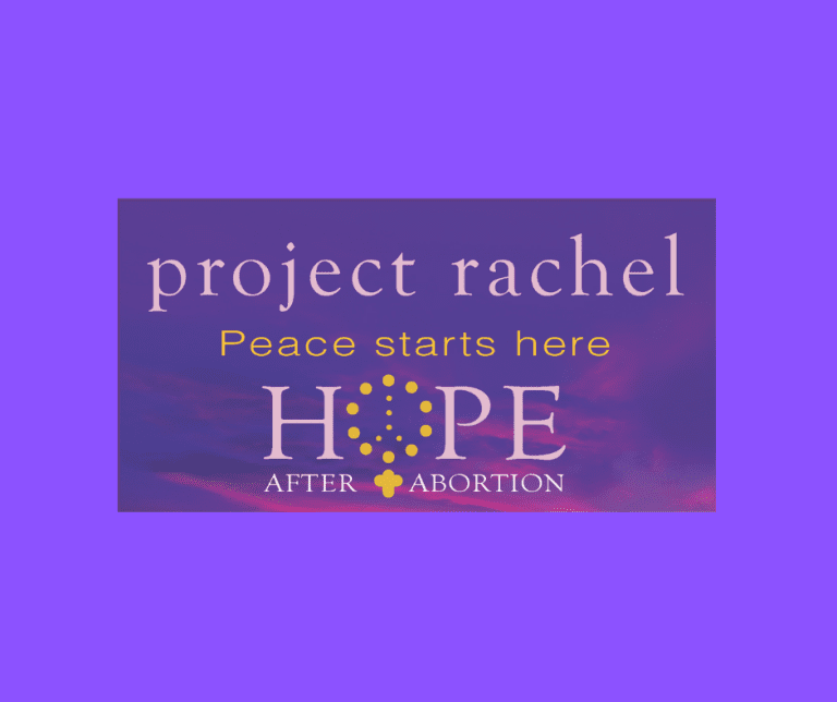 project rachel - Diocese of Venice