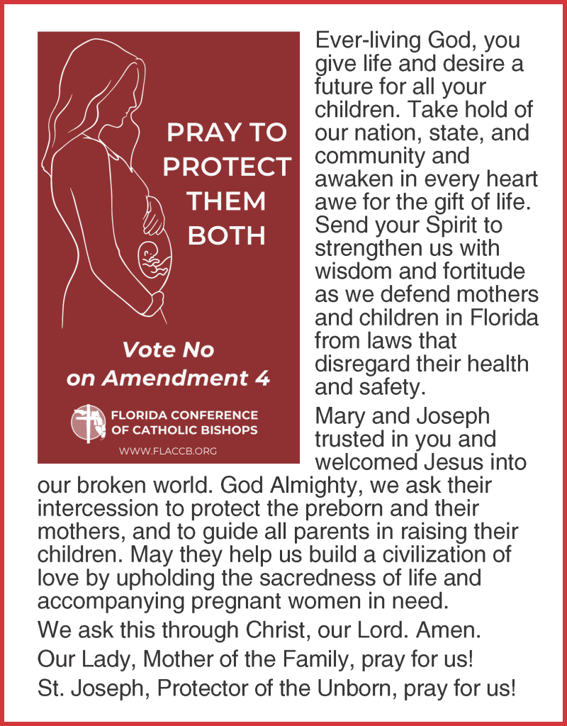 Vote No on Amendment 4! - Diocese of Venice